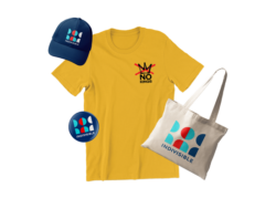 Indivisible EveryAction Tools Guide